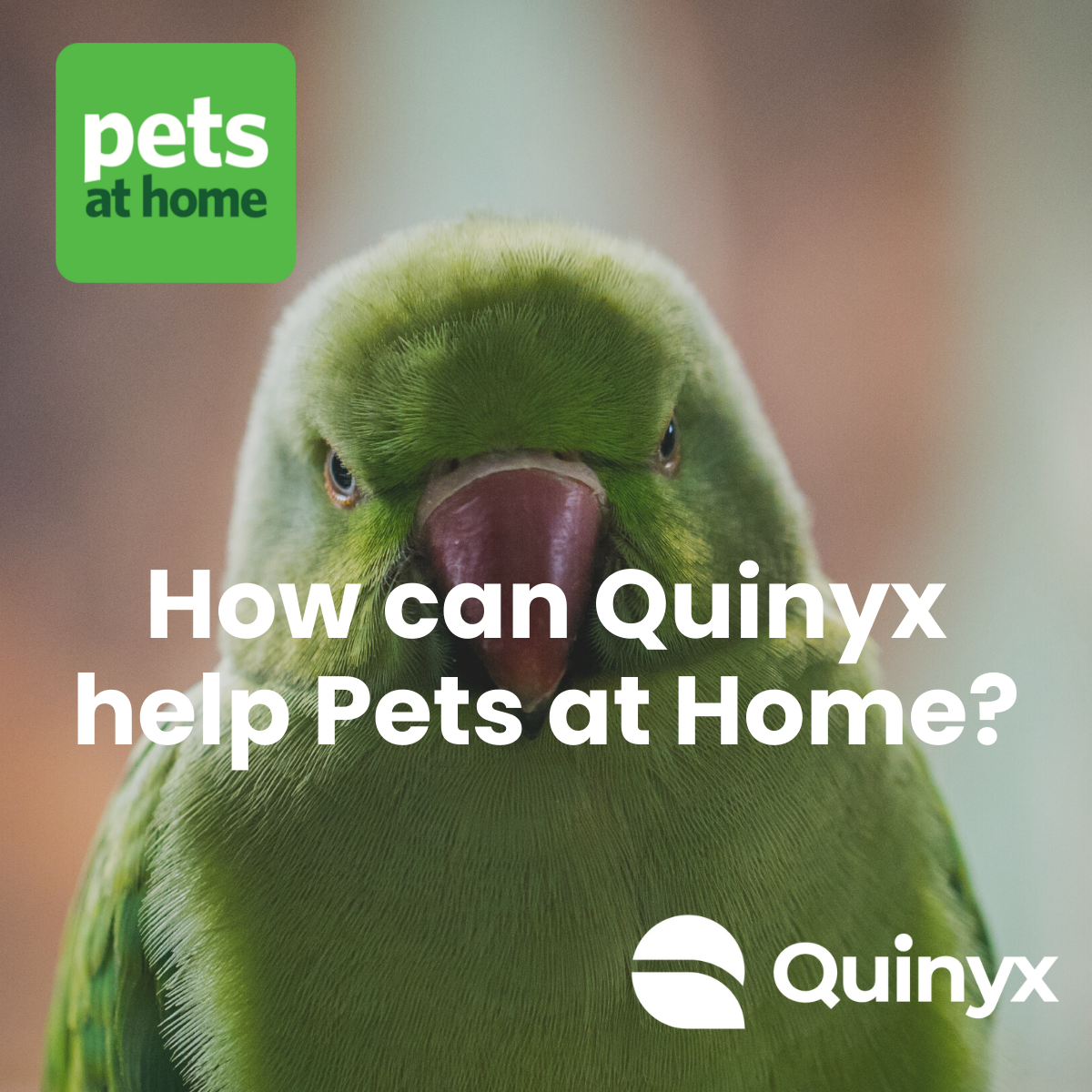 Quinyx Solutions To Support Pets At Home